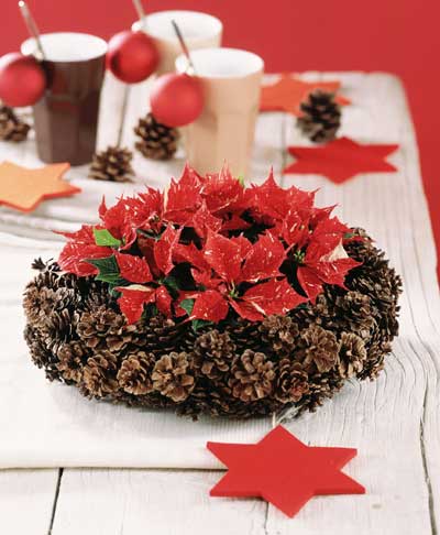 Traditionella julblommor med variation - Viivilla SE